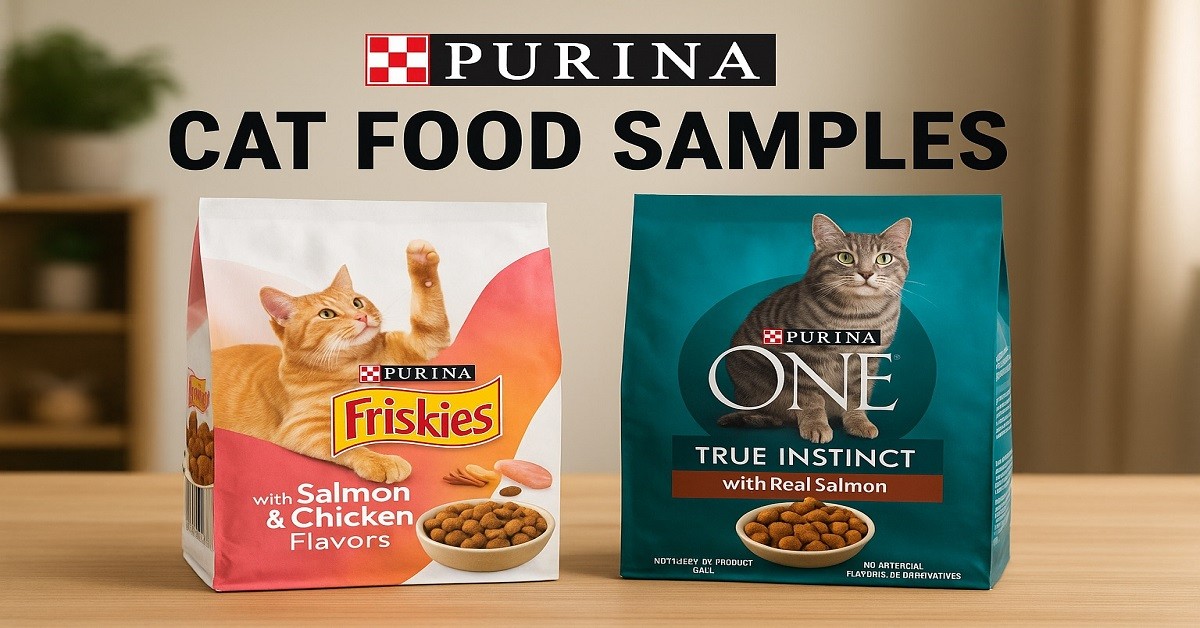 Discover How to Try Purina Cat Food Samples at No Cost - Expable
